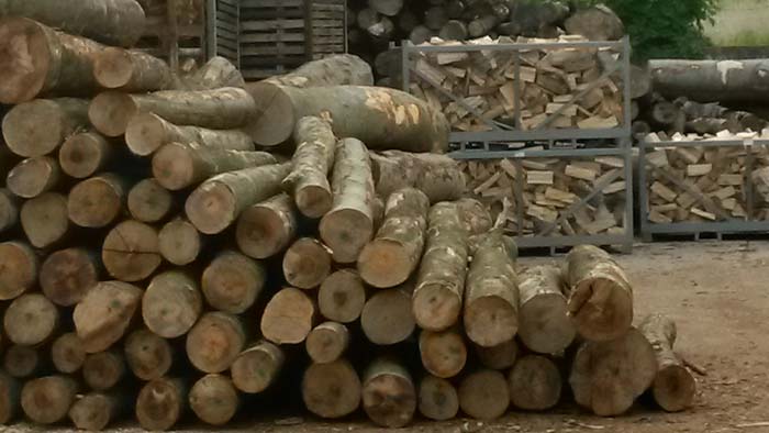 dein-kaminholz.de - Kamin- & Brennholz kaufen direkt vom Hersteller ...